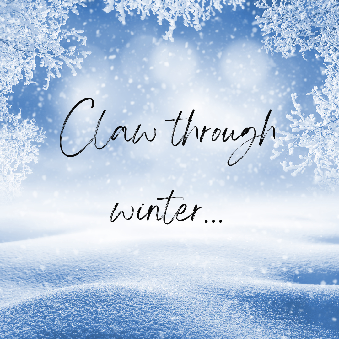 WINTER – Claw Culture